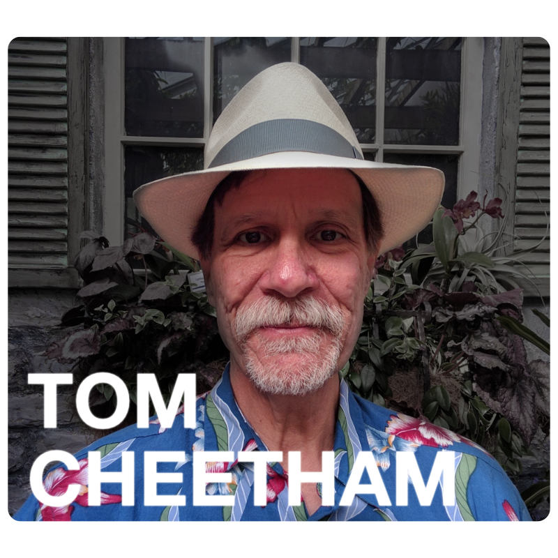 Home - Academia Imaginal